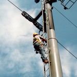 Anchor Point Engineering Vertical Static Lines - Anchor Point Engineering